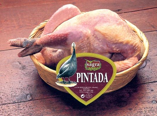 Pintada - Distribución Cárnica - Pintada